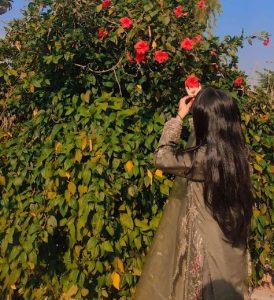75+ Instagram & WhatsApp Aesthetic Dpz for Girl's - Erome